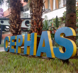 ___Conheça o Cephas - CEPHAS